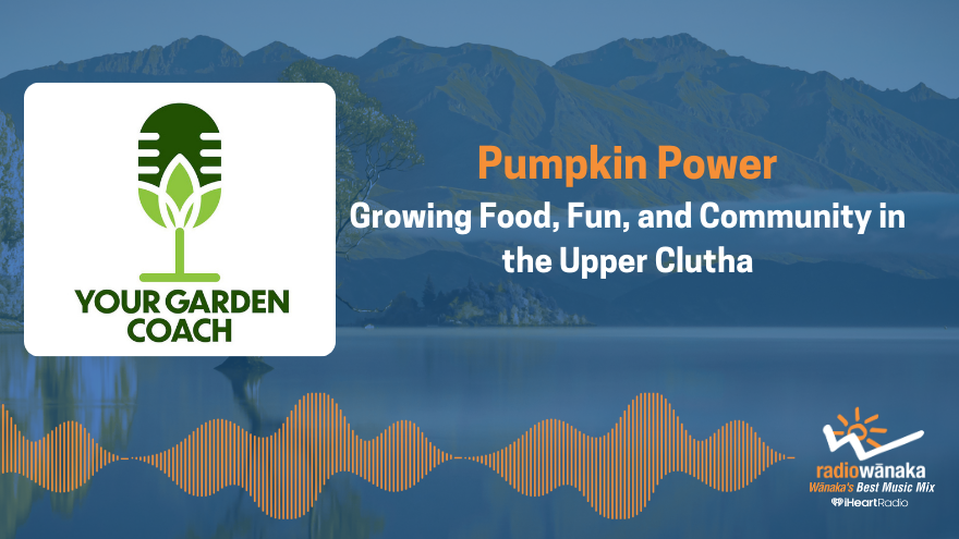 Pumpkin Power: Growing Food, Fun, and Community in the Upper Clutha